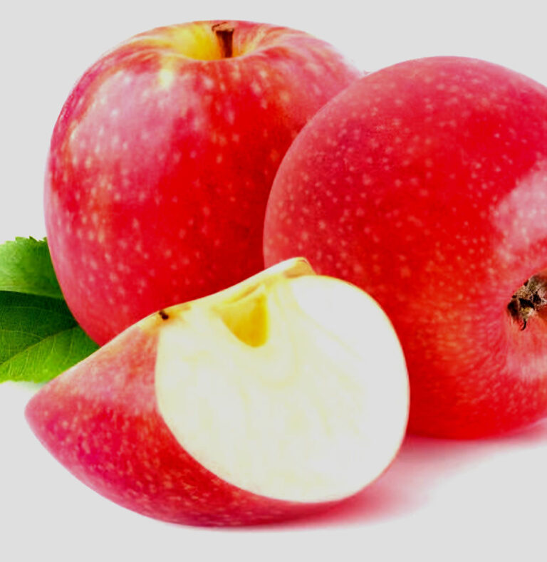 Dwarf Pink Lady Apple Tree – gardencrechenursery